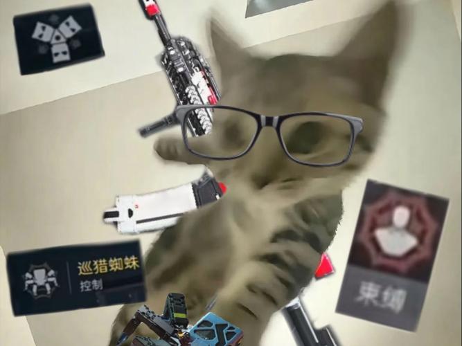 比特蜘蛛图片图标