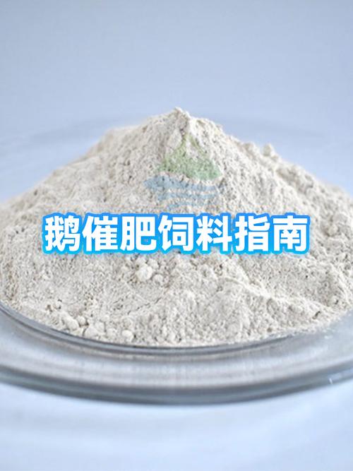 肉鹅催肥的诀窍