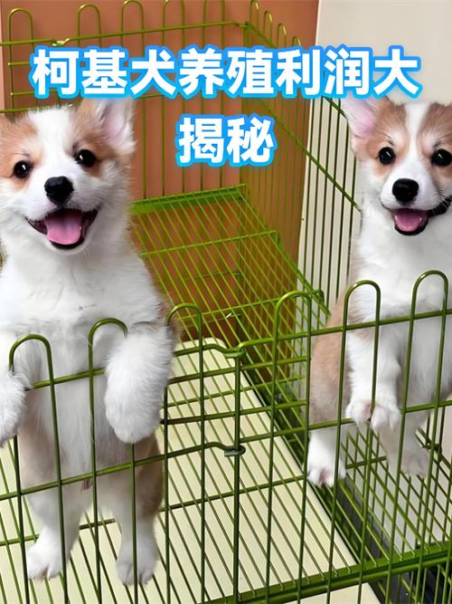 100只狗一年的利润图标