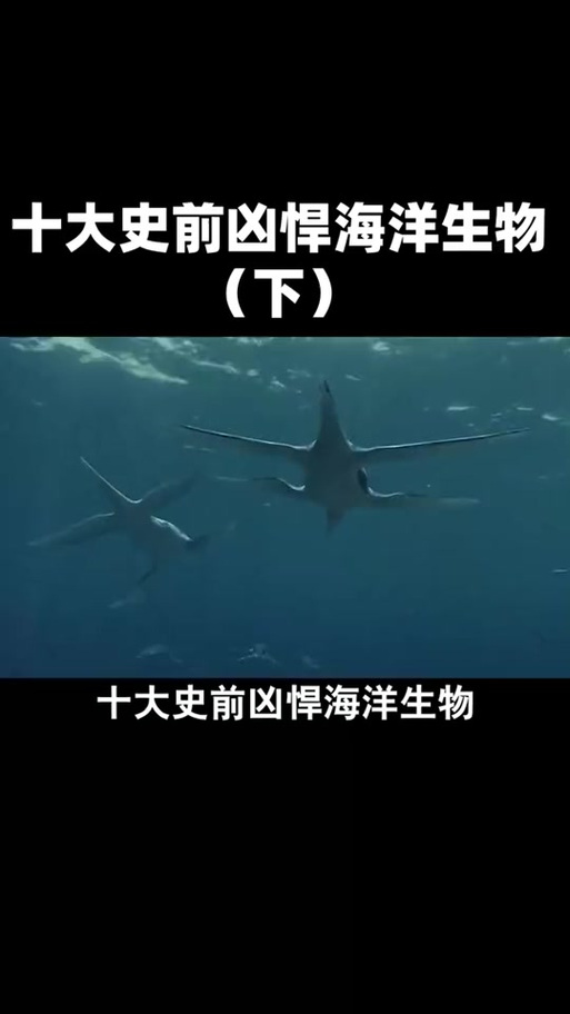 抖音王鲸鲸截图