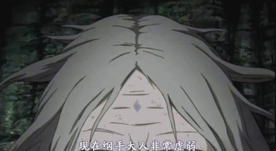 纲手变成傀儡是哪一集截图