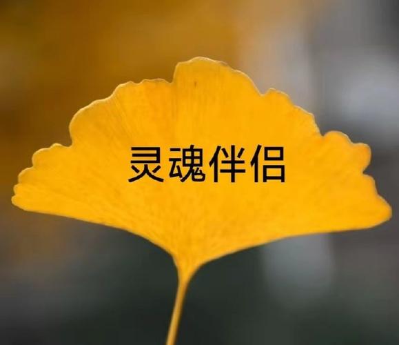 女朋友问我会不会离开她图标