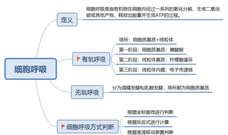 高中呼吸作用思维导图图标