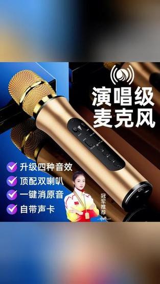 话筒直接连音响能唱歌吗图标