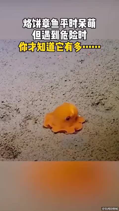 逗比的图片图标