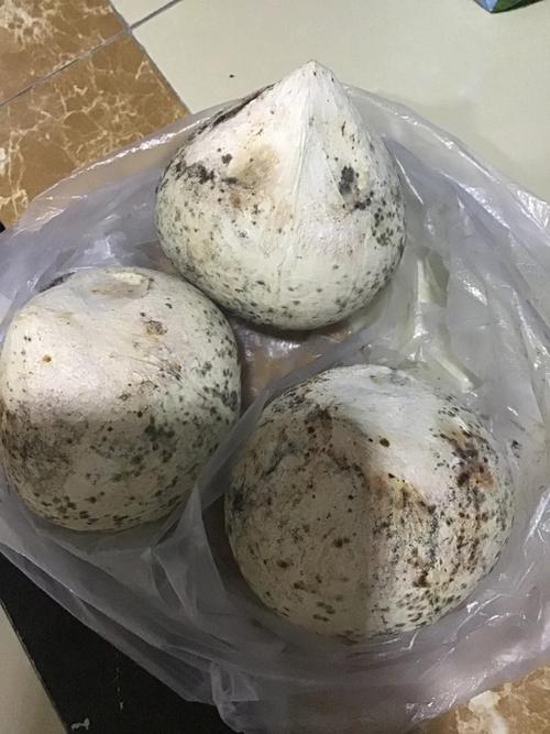 椰子刷起毛了怎么办截图
