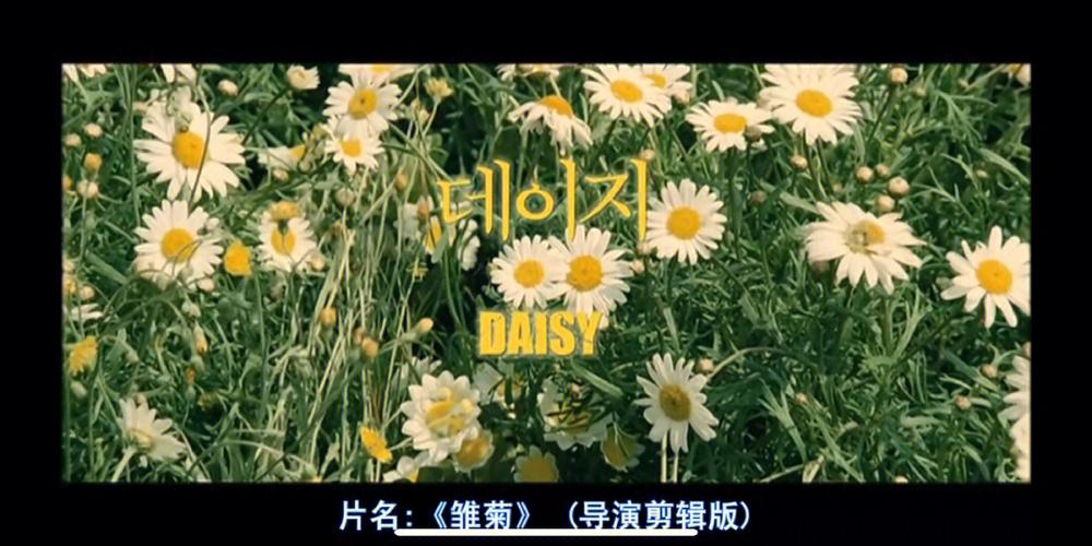 雏菊投资图标