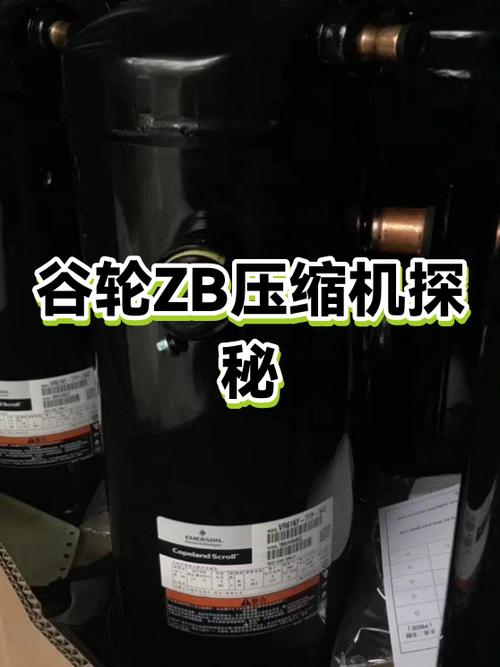查看压缩文件截图