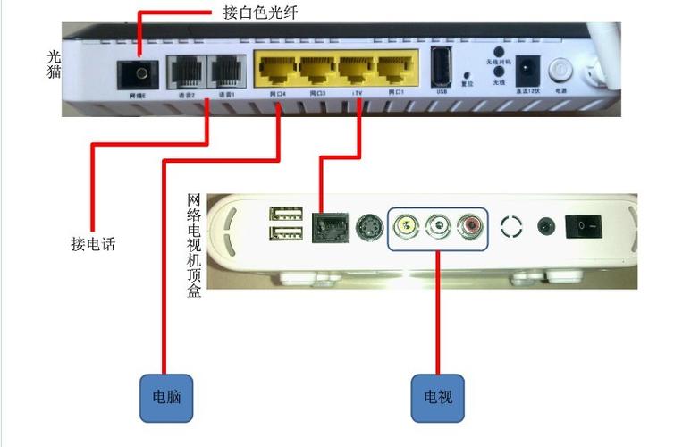 电信光猫接口怎么接线图标