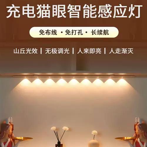 电子猫眼老款的怎么充电图标
