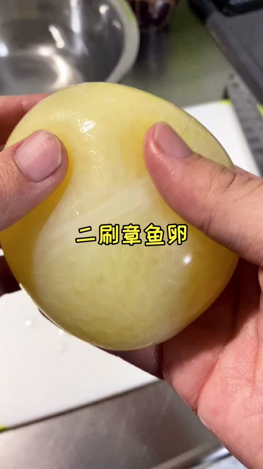 章鱼白色蛋能吃吗图标
