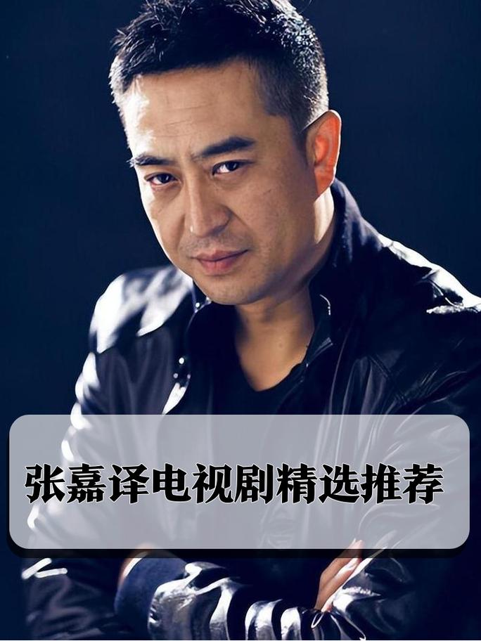 张嘉译专用音乐图标
