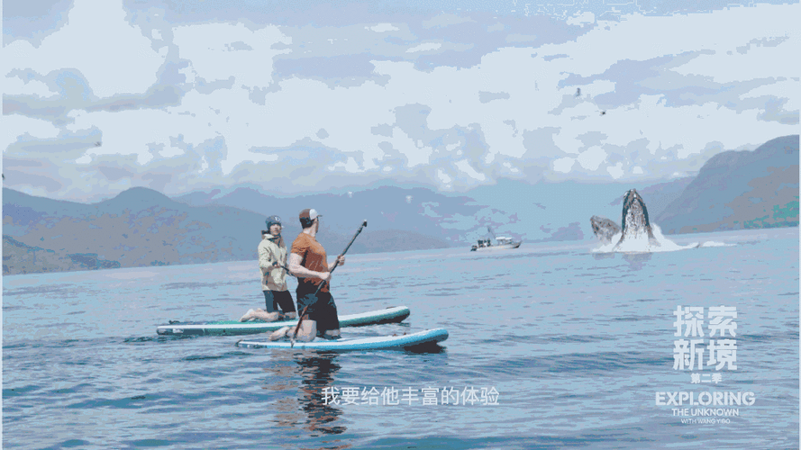王者更新后隐身去哪里了图标