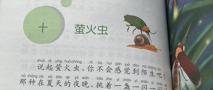 萤火虫脚本截图