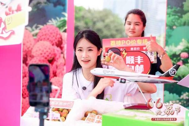 大湾区卫视荔枝网直播图标