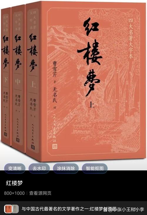 穿越红楼小说图标