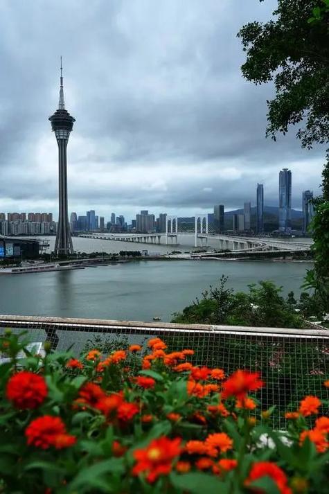 澳门澳门亮阳光图标