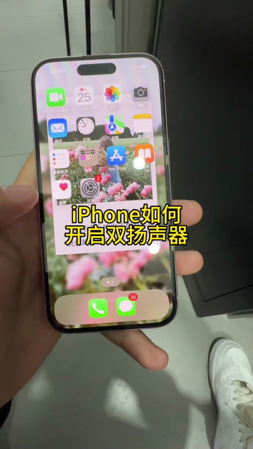 苹果17有双扬声器吗图标