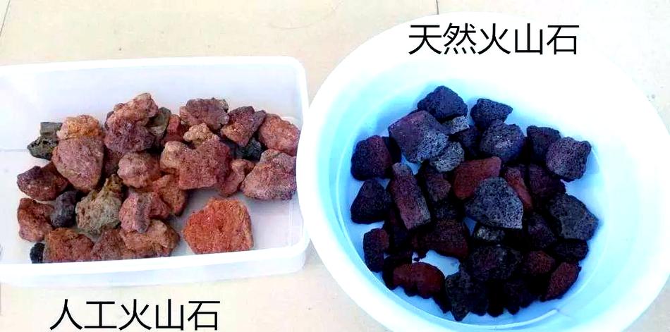 火山石真假对照图图标