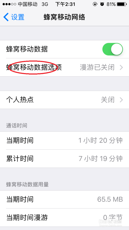 iphone不显示4g图标