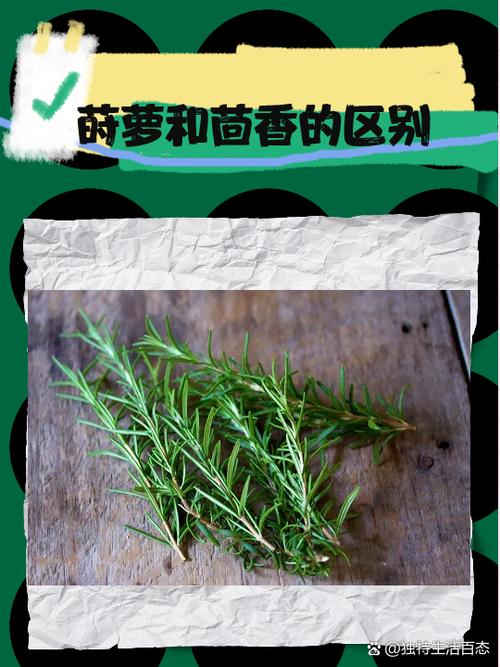 甜莳图片大全截图