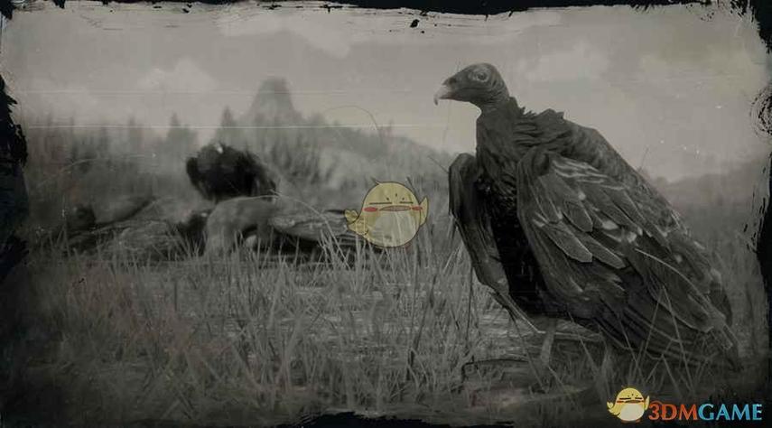荒野大镖客2秃鹫截图