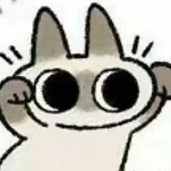 暹罗猫表情包图标