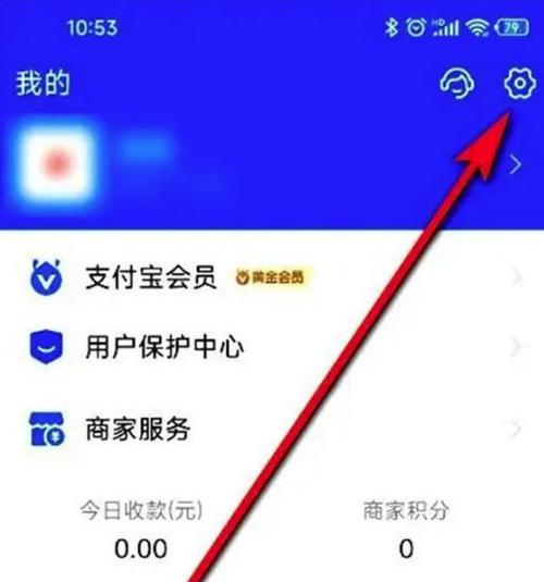 支付宝怎么切换国际版图标