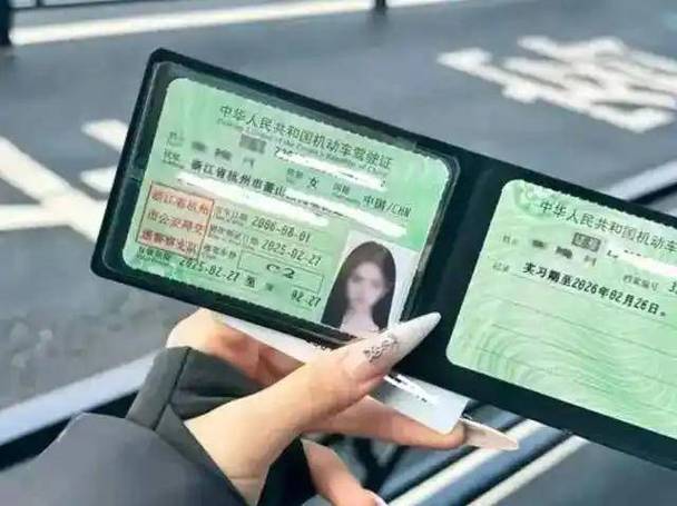 2025年驾驶证年审新规图标