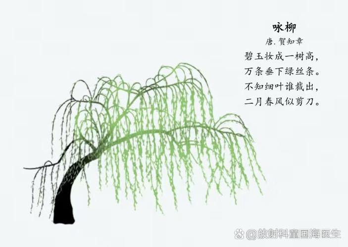 描写春天或杨柳的诗句