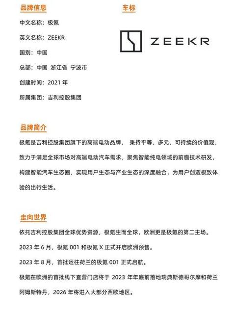 极氪品牌介绍图标