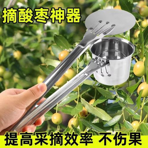 采摘需要准备哪些物品图标