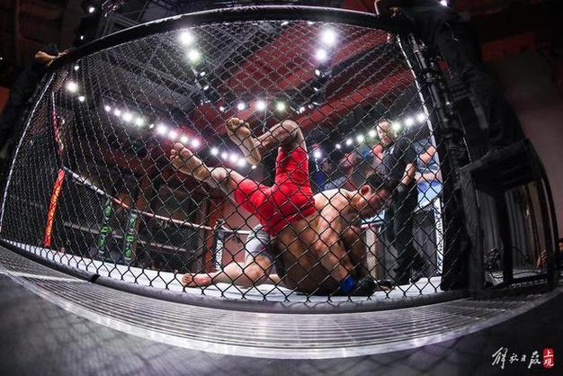 ufc正赛完整视频截图
