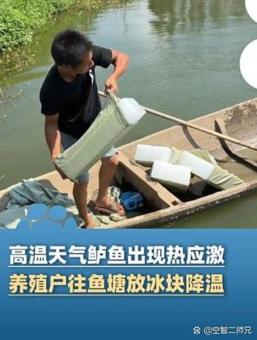 快乐鱼塘主截图