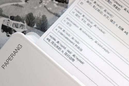 喵喵机pi和p2对比图标
