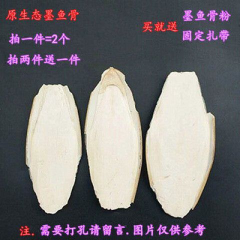 鹦鹉多久喂一次墨鱼骨截图