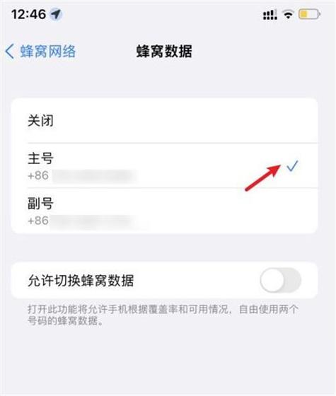 苹果13双卡设置在哪里图标