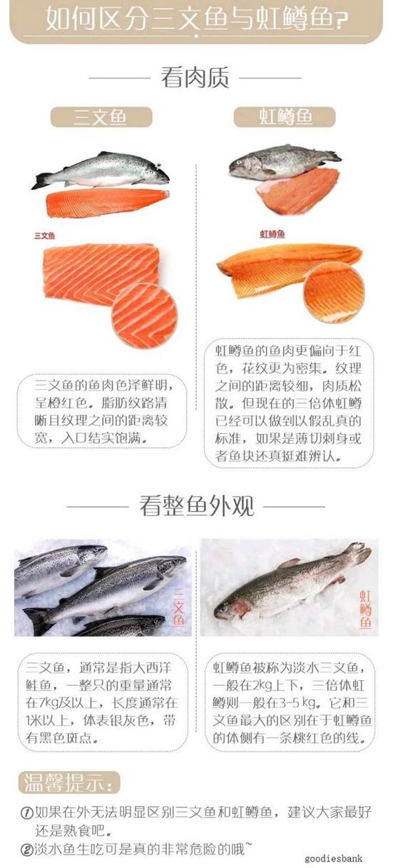 大西洋鲑鱼和三文鱼的区别图标