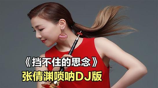 DJ唢呐串烧歌曲大全图标