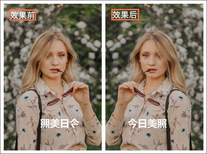 拍照镜像和不镜像那个像本人图标