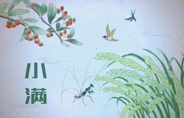 小满象征着什么截图