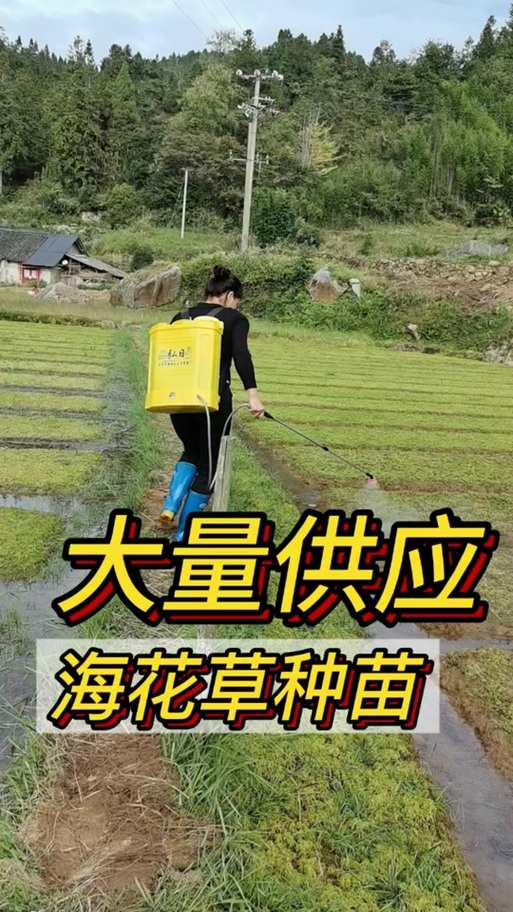 花花群岛一共多少种子图标