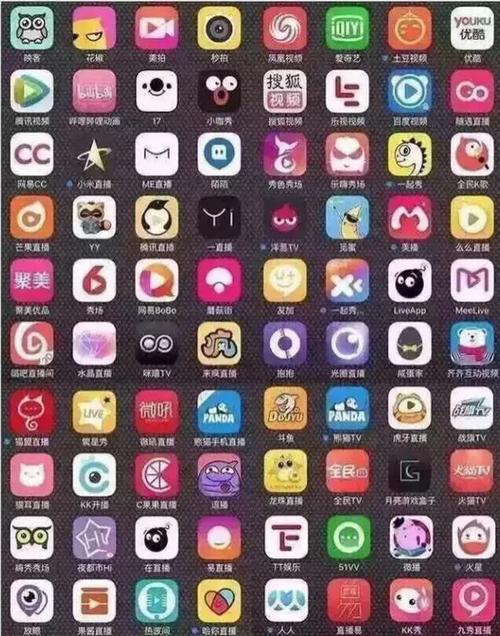 2s直播的官方网站截图