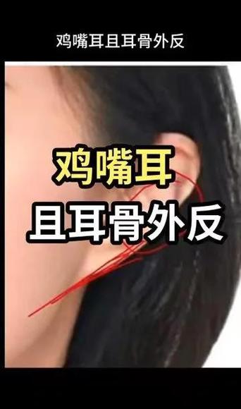 鸡的听力是人的多少倍图标