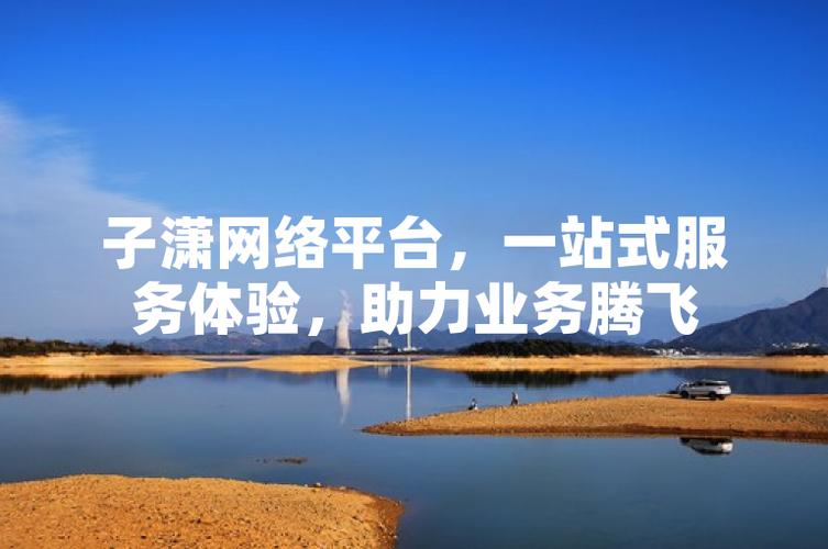 子潇网络平台网站图标