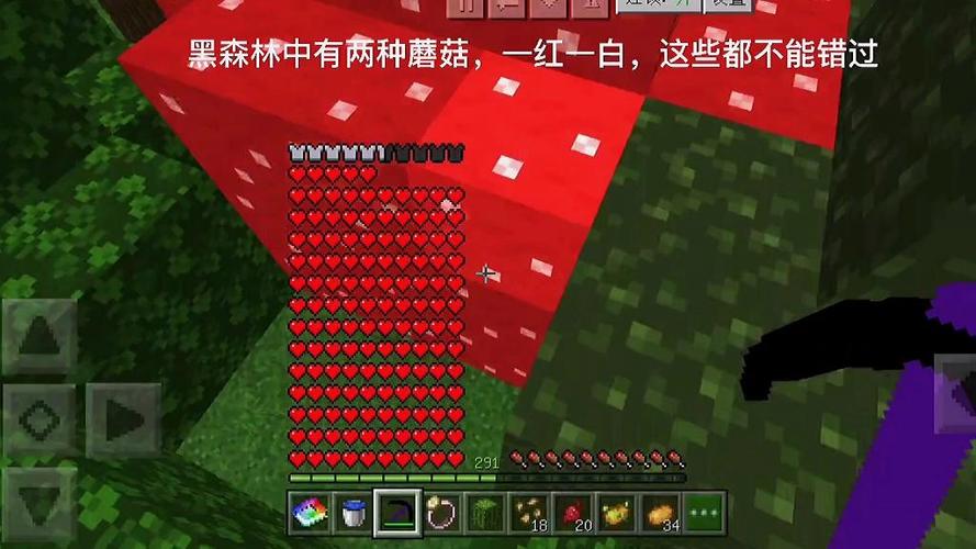 我的世界泰坦生物手机版下载截图