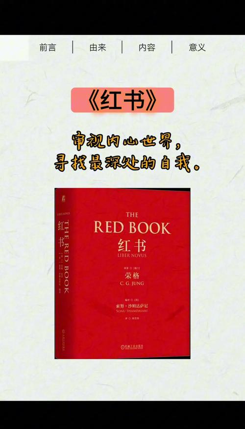 红柚阅读图标