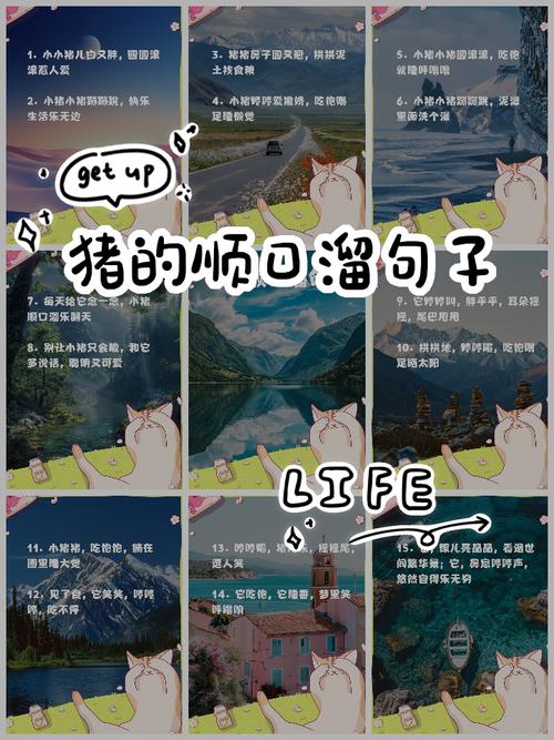 杀年猪顺口溜(最经典)图标