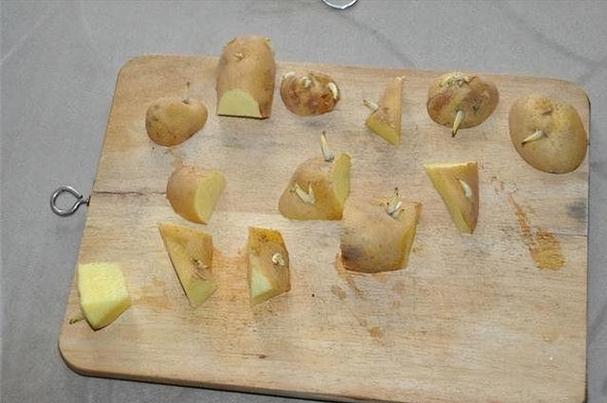 土豆如何切片图标