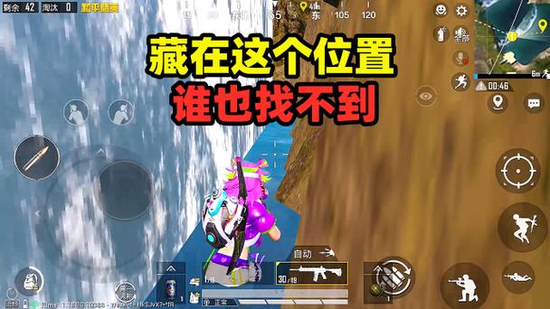 天赐俩鸡和平精英视频